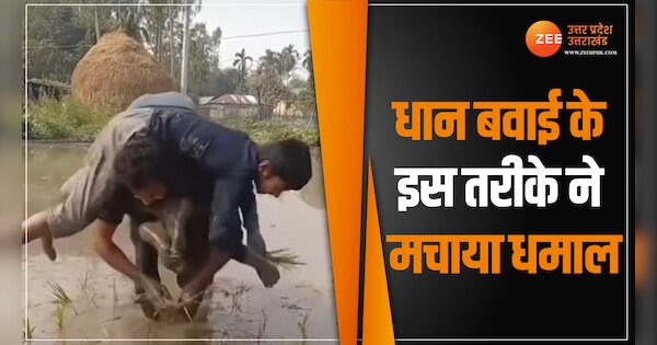 watching amazing technique of sowing paddy in field video goes viral | Viral Video: गौर से ...