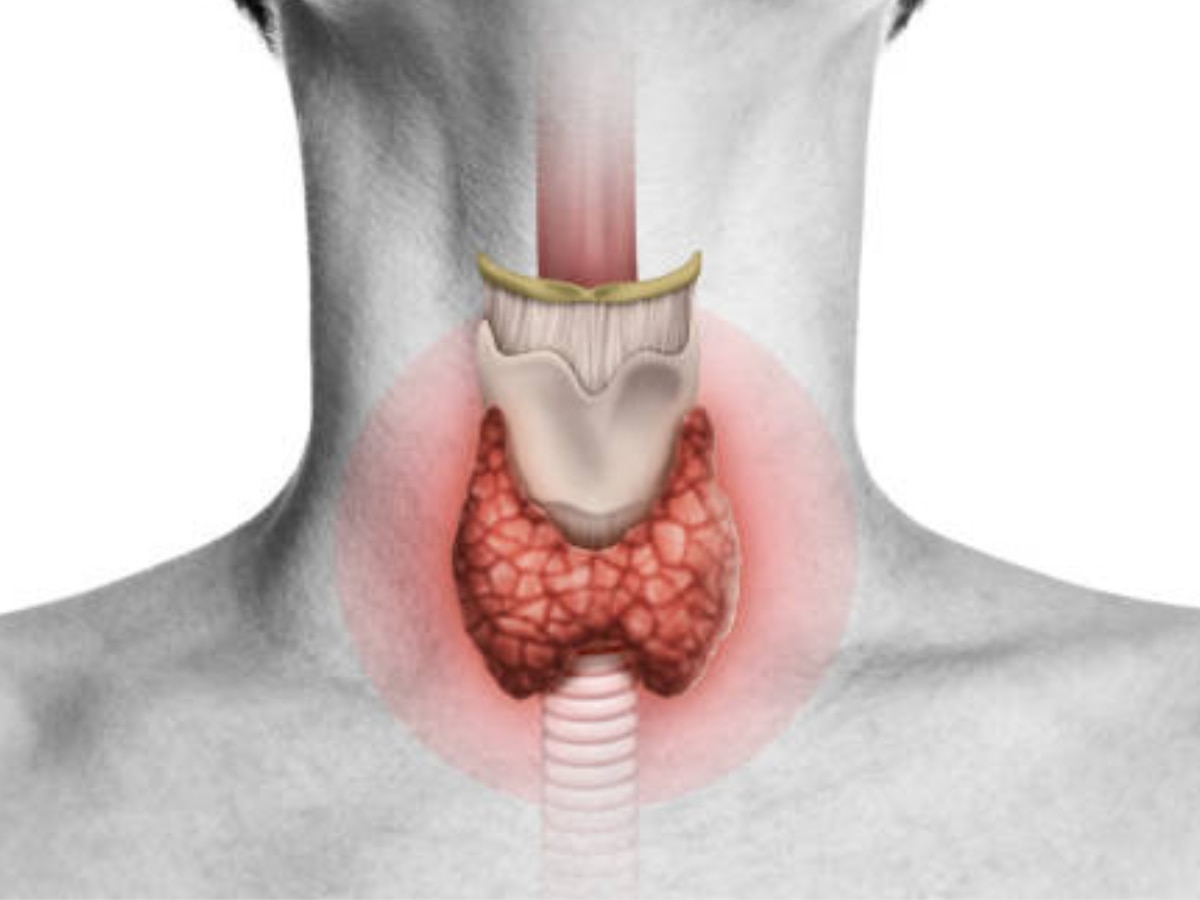 human body parts interesting facts manav sharir ke baare me | कौन सी ...