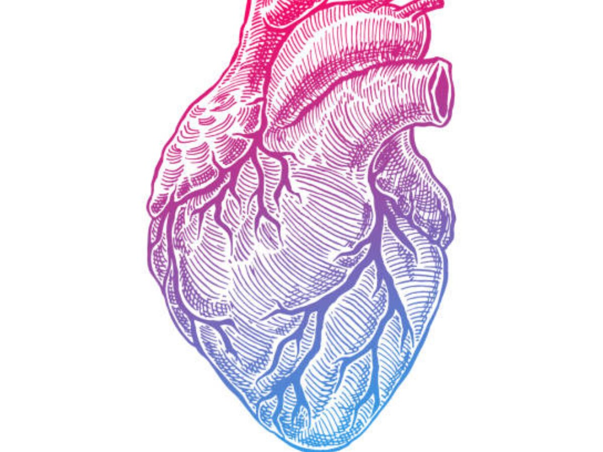 human body parts interesting facts manav sharir ke baare me | कौन सी ...