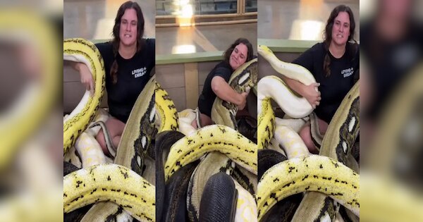 Woman cuddles with python viral video creates stir on internet | अजगर ...
