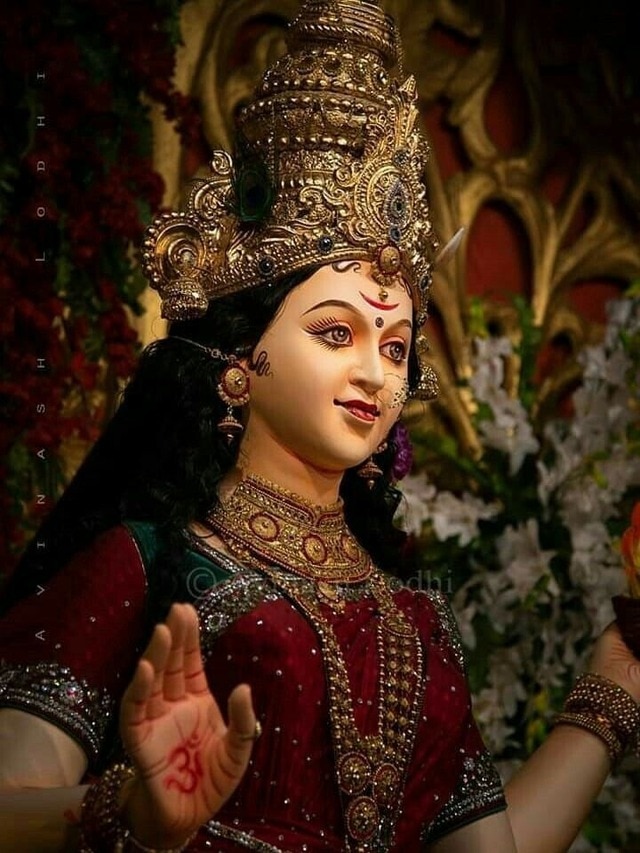 Shardiya Navratri 2023 on which sawari will Maa Durga come This year ...