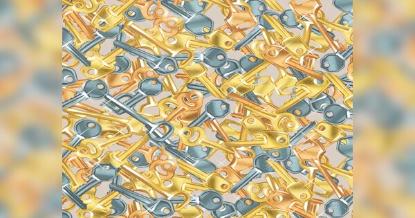 Khojo to jaane Optical illusion can you find hidden bell among keys ...