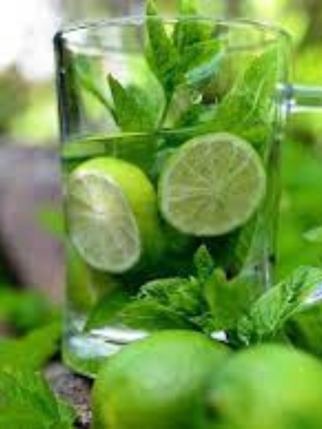 Pudina ke fayde to get relief from the summer season and avoid many ...