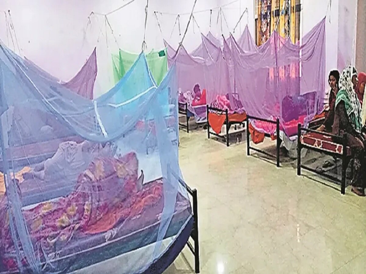 Bihar Health Department Dengue in Jehanabad Sadar Hospital Alert Mode ...