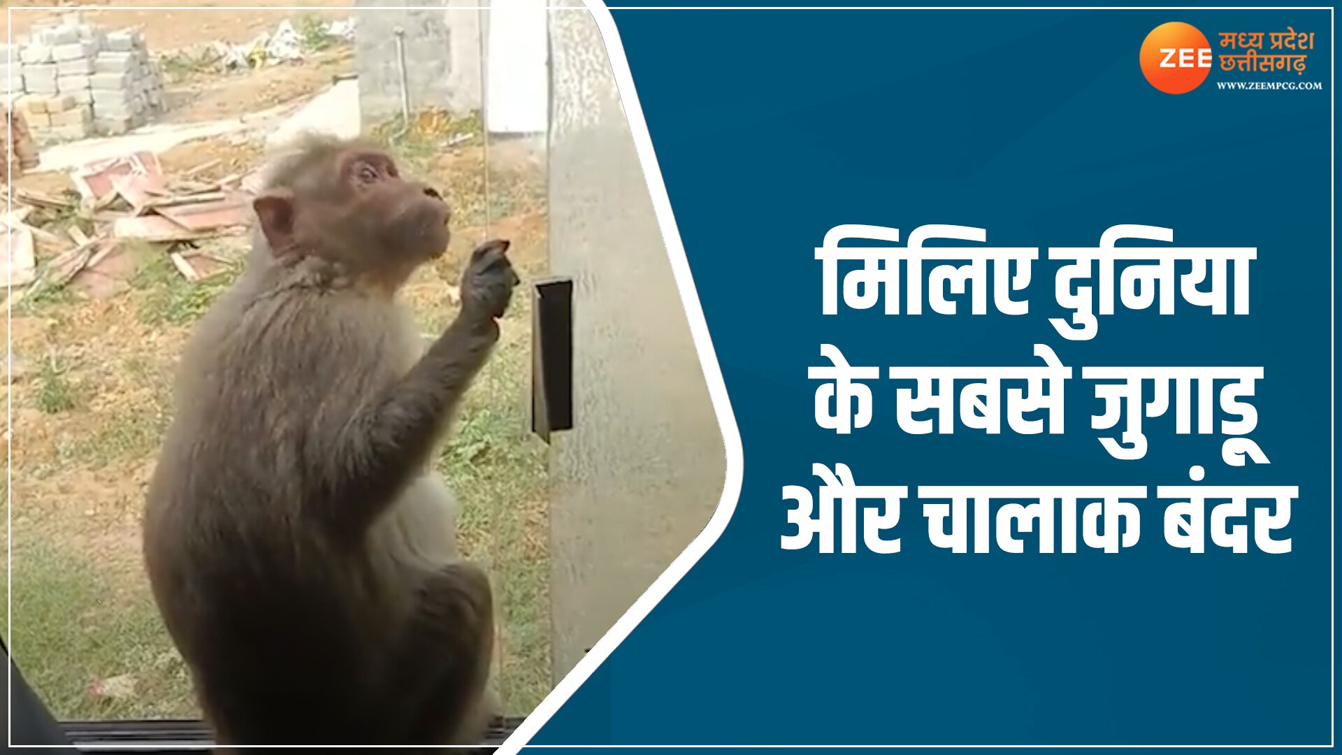 Monkey Viral Video Monkey rides on KSRTC bus in Karnataka bandar ne ki ...