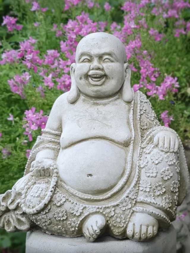 Laughing Buddha Vastu Tips Keep Laughing Buddha At Home For Money ...