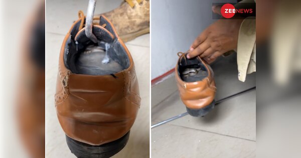 snake hid inside the shoe happened even before setting foot Dangerous ...