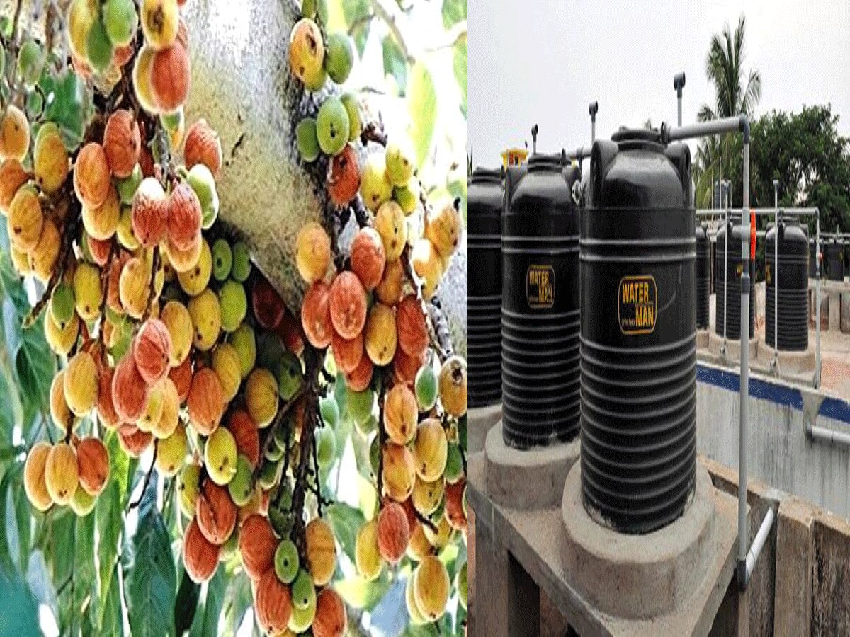 2298852-df.gif?imwidth=1200&imheight=900