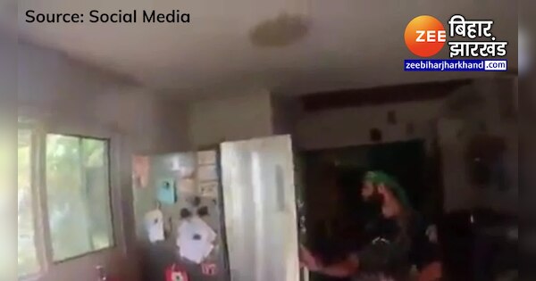 Along with humans animals are also being put to death in Israel watch ...