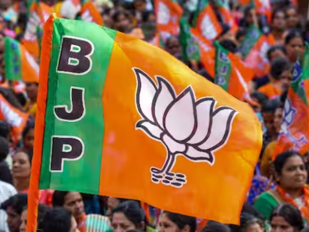 Assembly Election 2023 Katni Mayor Candidate Jyoti Vinay Dixit Resigned BJP Fourth List Vidhan ...