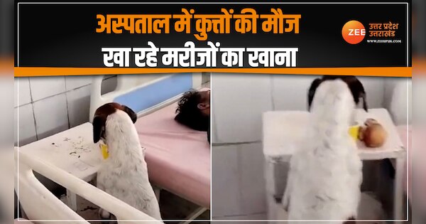 moradabad district hospital viral video dog eating food of patient ...