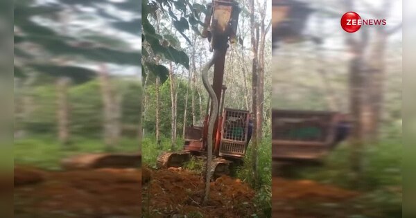 lonest ever 34 feet python spread terror in village crane come to find ...