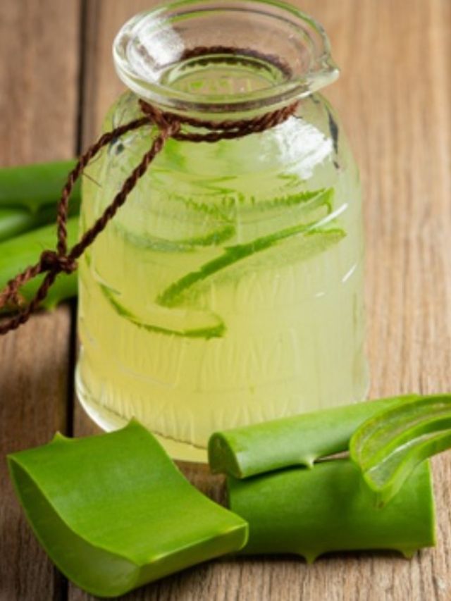 Benefits of Aloe Vera: कब्ज दूर करता है एलोवेरा; इसके ये 6 चमत्कारी ...
