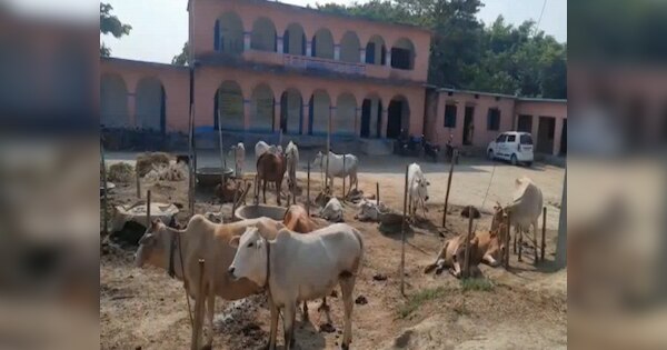 School built in home district of Bihar Education Minister become tabela ...