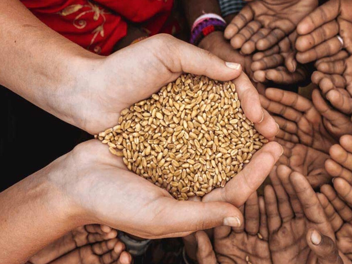 आज पितृ अमावस्‍या पर दान करें ये चीजें, प्रसन्‍न होंगे पूर्वज, मिलेगी ...