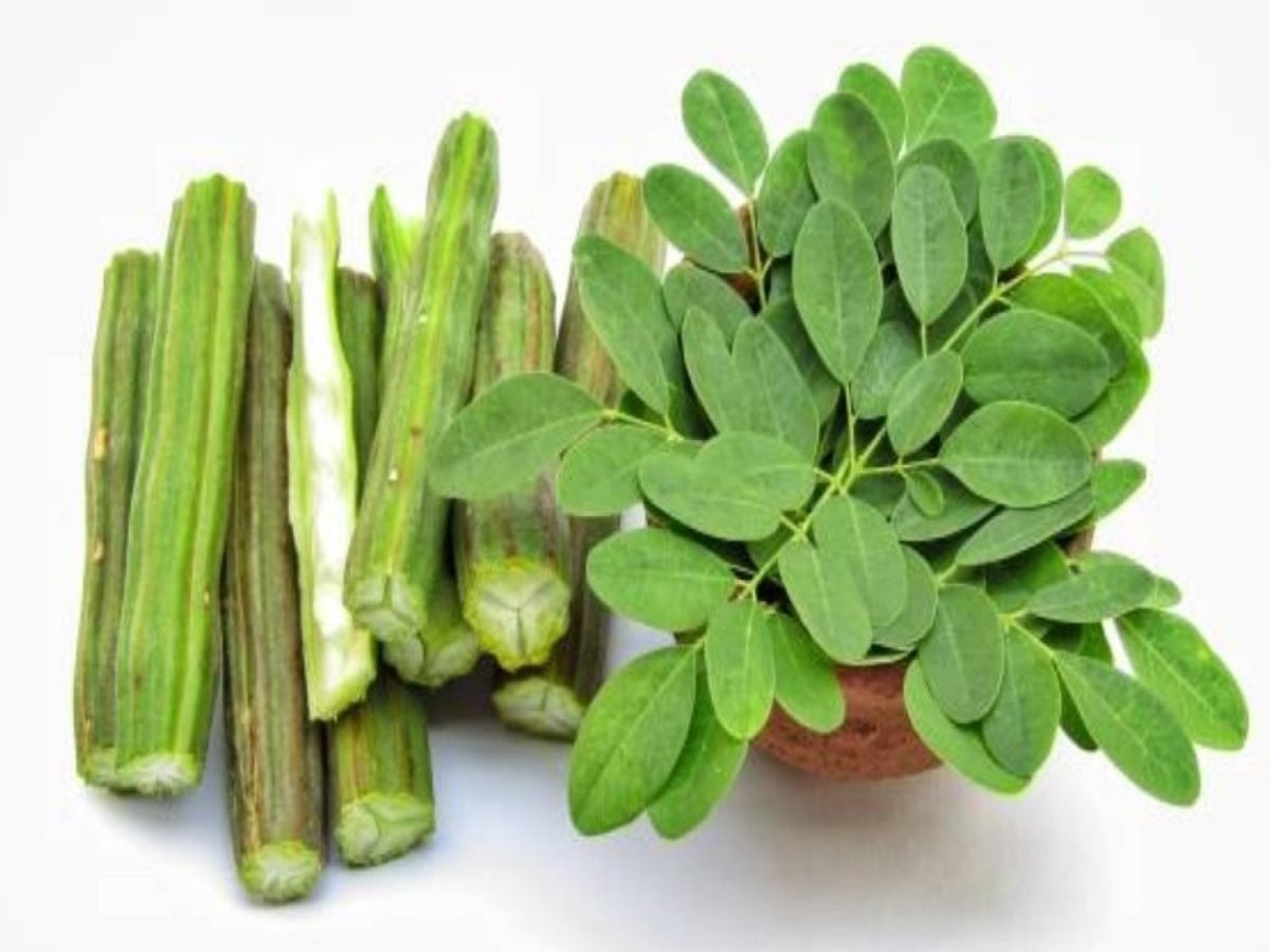 From Clear Skin to Healthy Heart Moringa Has Many Health Benefits ...