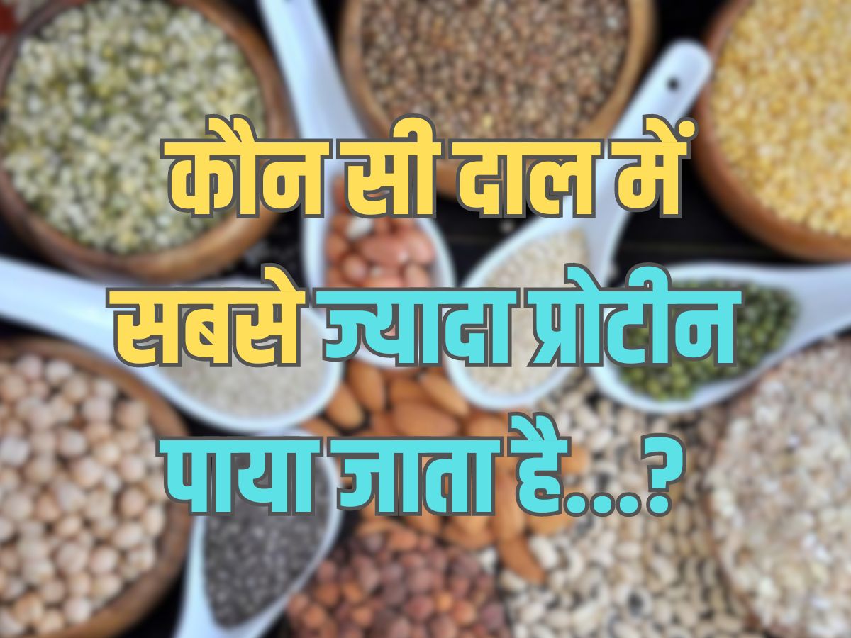 General Knowledge Quiz Which Pulse Contains The Most Protein Trending