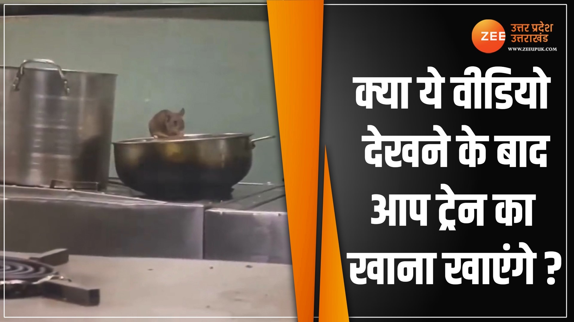 rats seen eating food in indian railway madgaon express pantry video ...