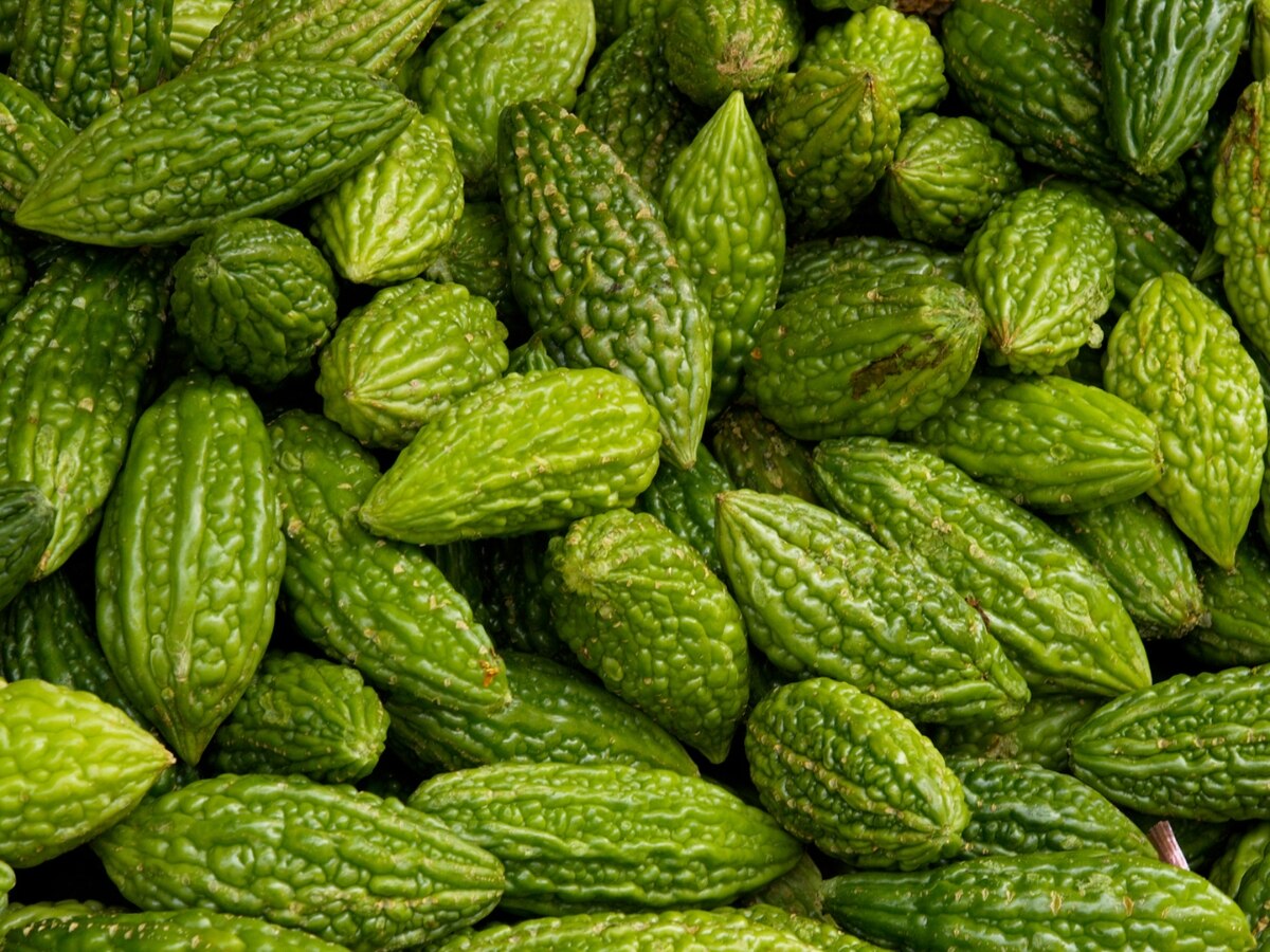 Bad Food Combinations: Do not eat 5 food with bitter gourd even by ...