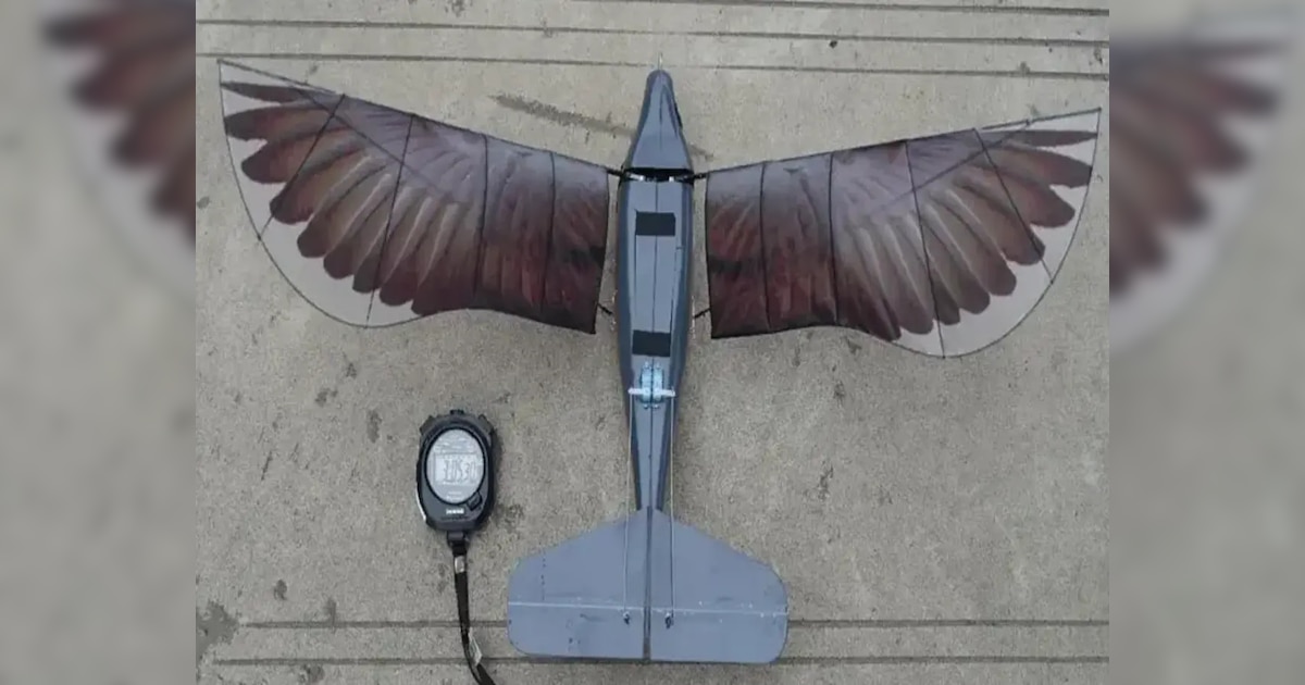 China develop bird like drone named Xinge using Unmanned Aerial Vehicle ...