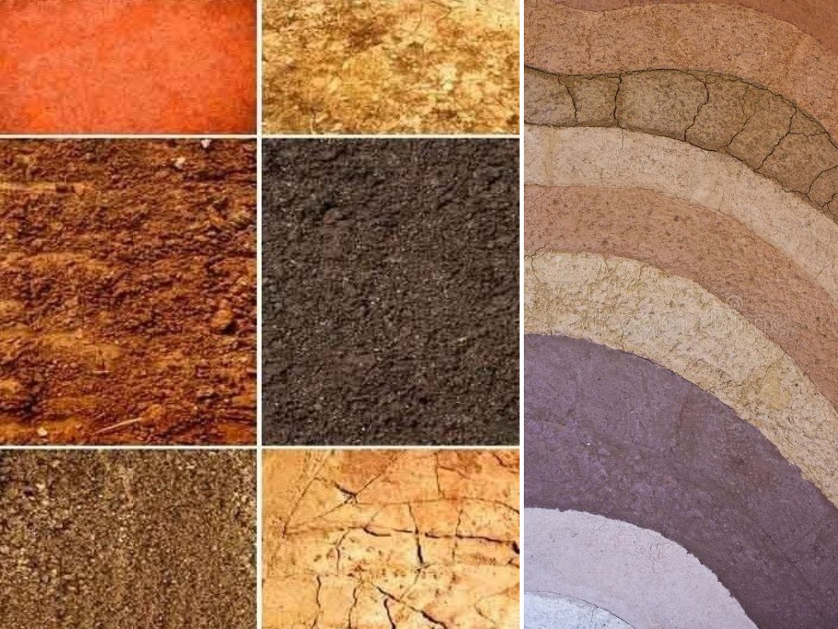 Knowledge quality of soil changes as place changes get accurate ...