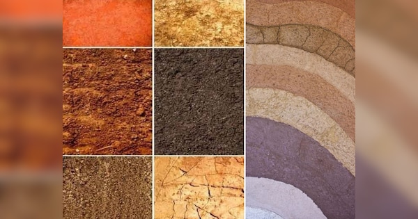 Knowledge quality of soil changes as place changes get accurate ...