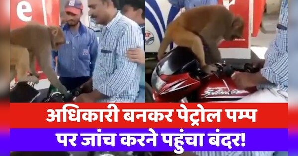 Funny Video A monkey posing as an officer came to test the petrol pump ...