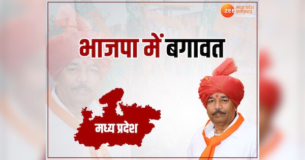 Madhav Singh Dabur resigns from bjp announce to contest independent ...