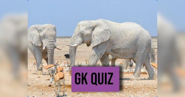GK Quiz A thing that is drowning in front of us but no one goes to save ...