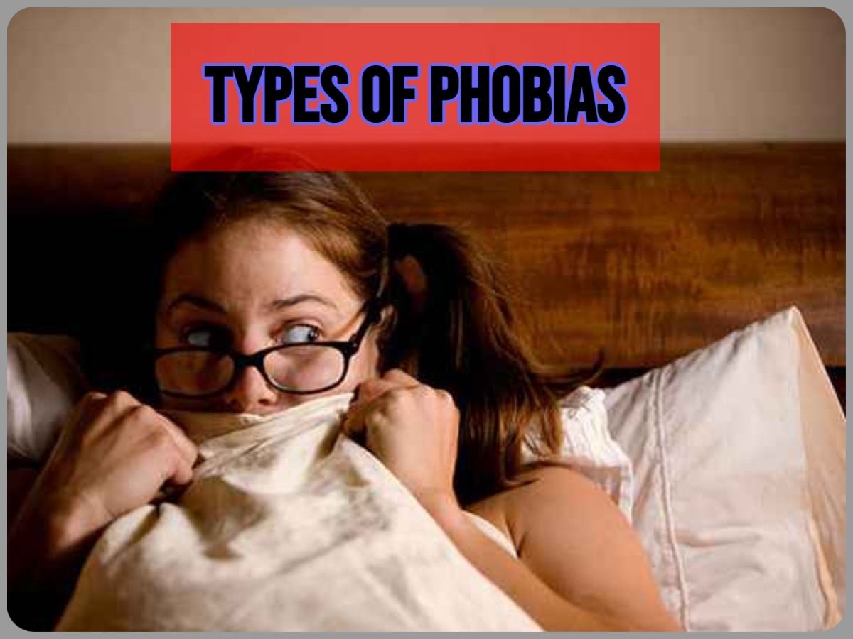 Various Types Of Phobias Mental Illness weird Phobias Possibility Of ...