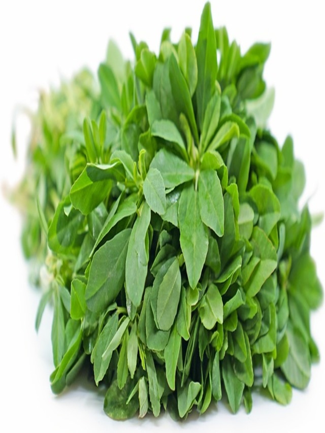 Methi tasty dishes recipes foods in winter | सर्दियों में बनाएं मेथी से ...