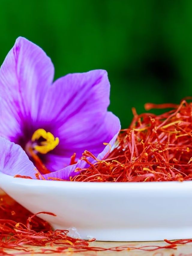 know the 7 saffron benefits for your health | जानें केसर के जादुई लाभ ...