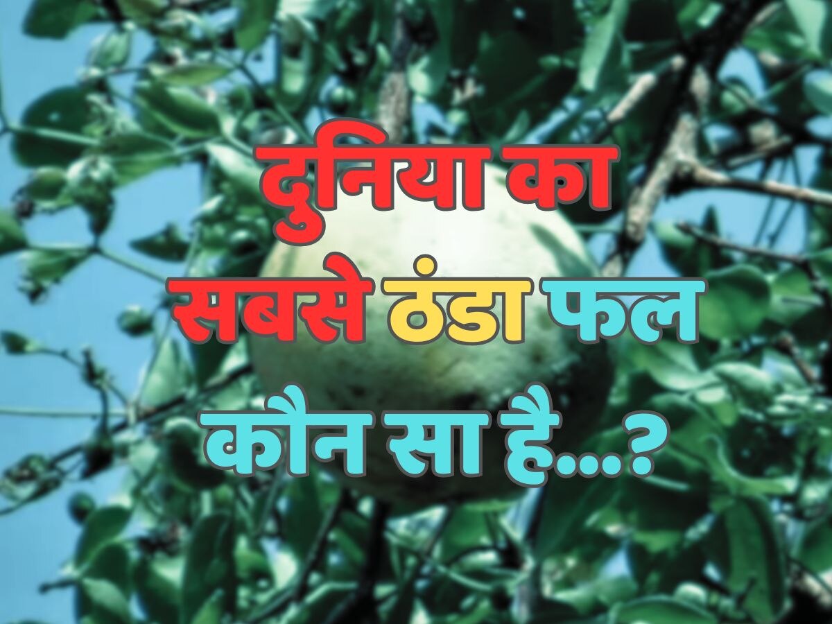 Trending Quiz दुनिया का सबसे ठंडा फल कौन सा है General Knowledge
