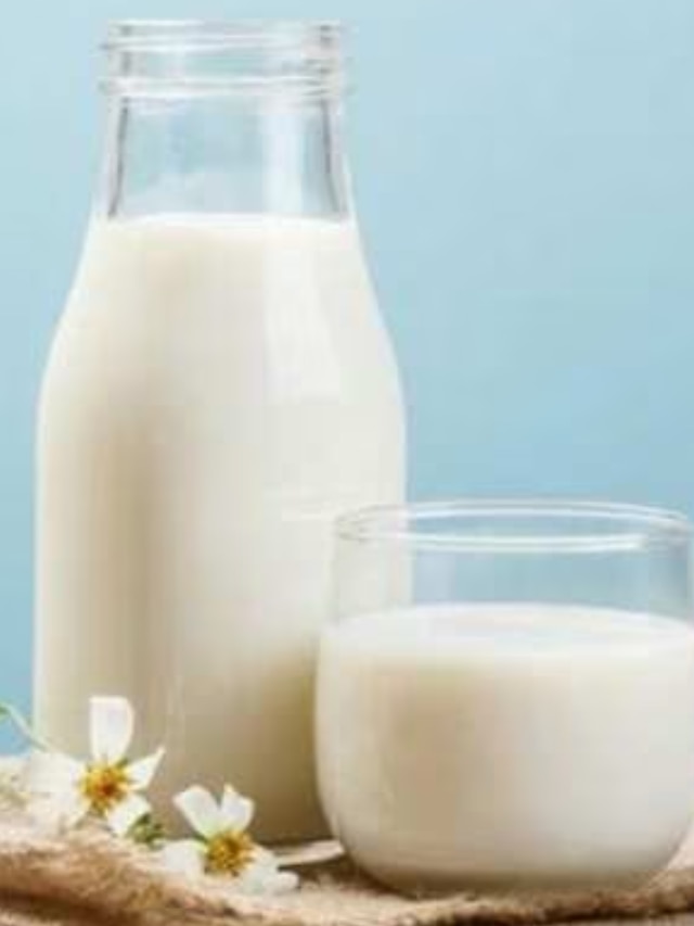 Elephant milk is more intoxicating than alcohol If you are thinking of ...