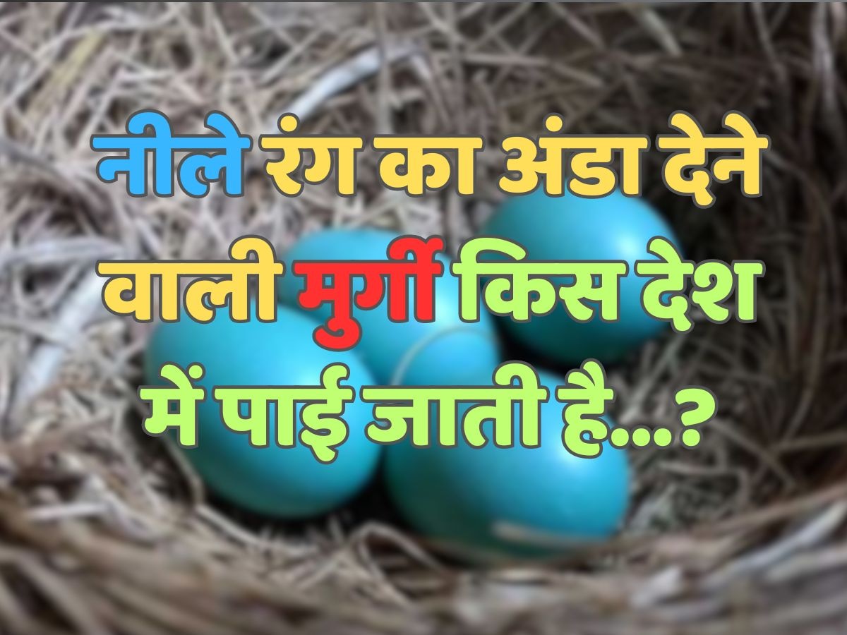 Trending Quiz नीले रंग का अंडा देने वाली मुर्गी किस देश में पाई जाती