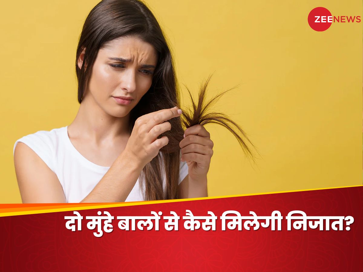 How You can Get Rid Of Split Ends Hair Cure Home Remedies Treatment Shampoo Egg Yolk Papaya Oil ...