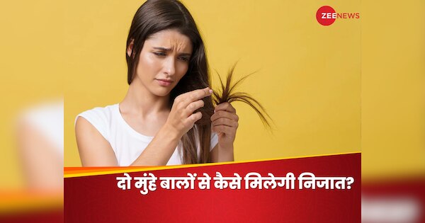 How You can Get Rid Of Split Ends Hair Cure Home Remedies Treatment ...