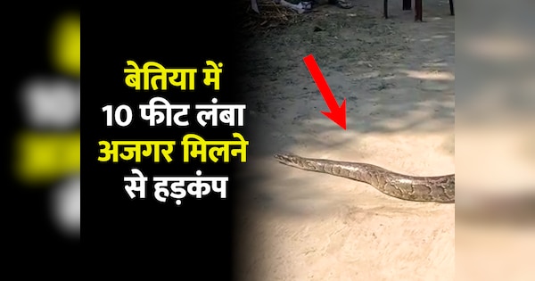Snake Viral Video Panic after finding 10 feet long python in Bettiah ...