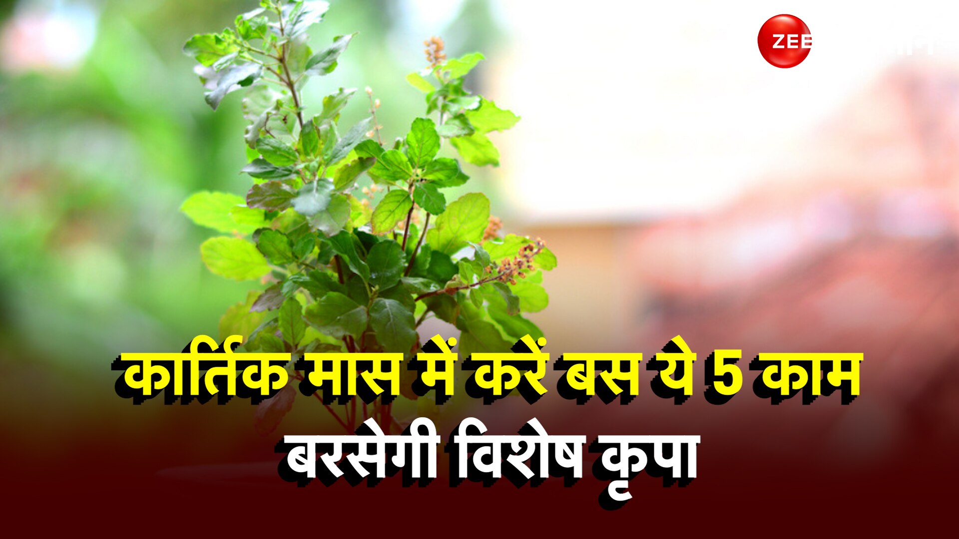 kartik month started do these things during kartik maas for maa laxmi ...