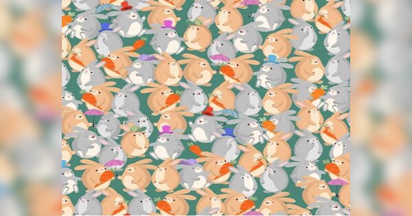 optical illusion iq test find out hidden Mouse among rabbits in 7 ...