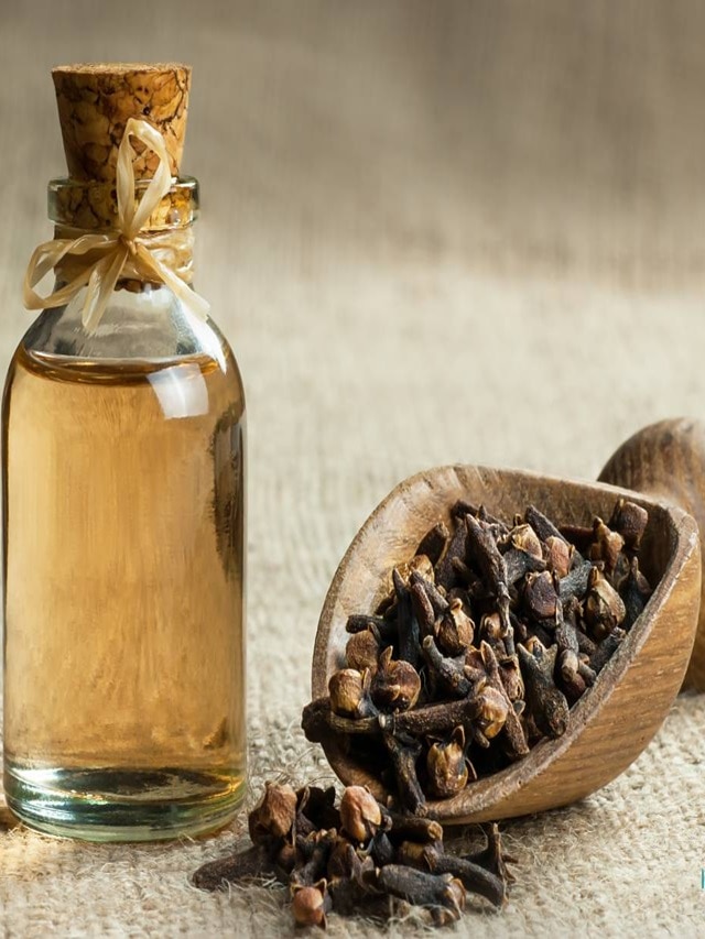 Laung ke tel ke fayde clove oil benefits for male clove remedies for ...