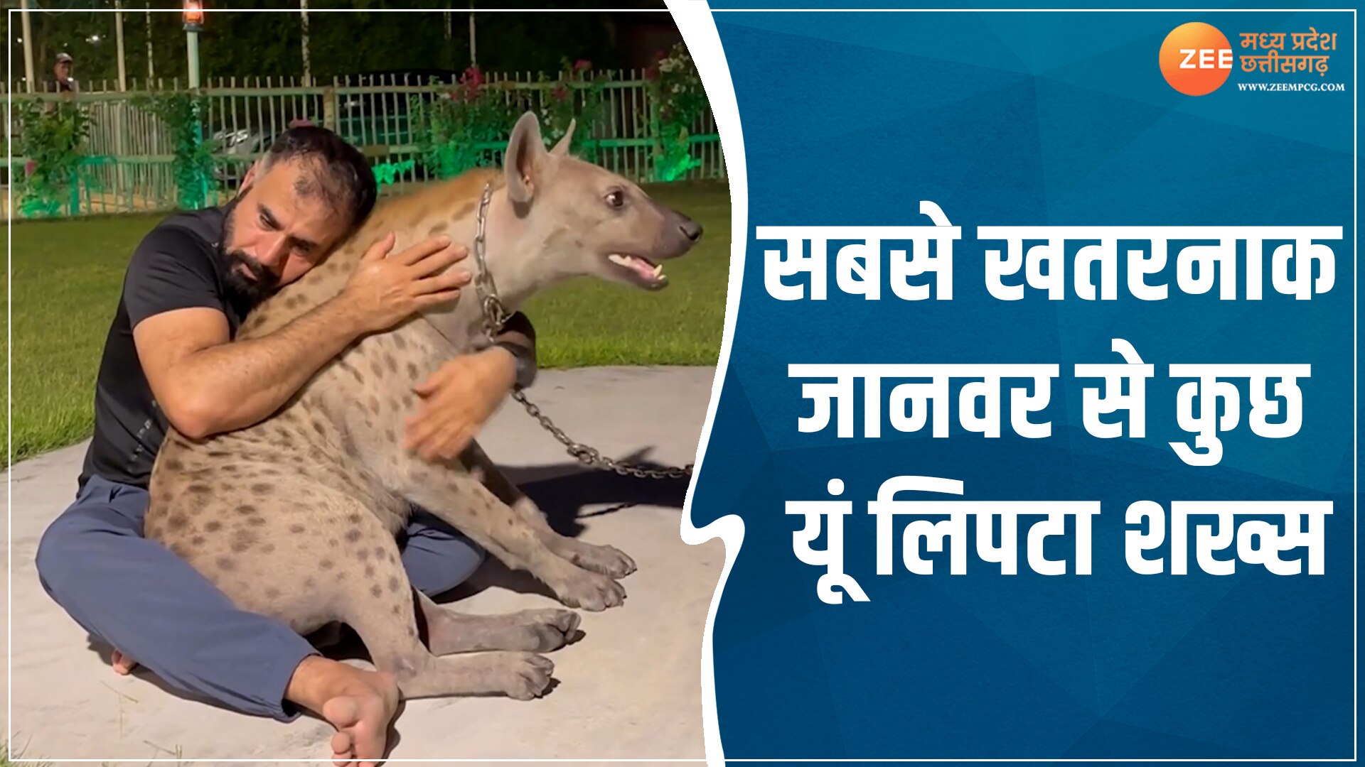 man hug hyenas without any fear people shocked video viral at social ...