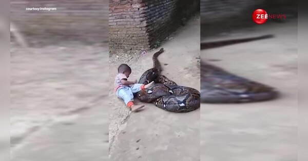 6 month old baby alone at home 22 feet giant python attacked him ...