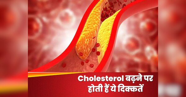 problems occur in the body when cholesterol increases | Cholesterol ...