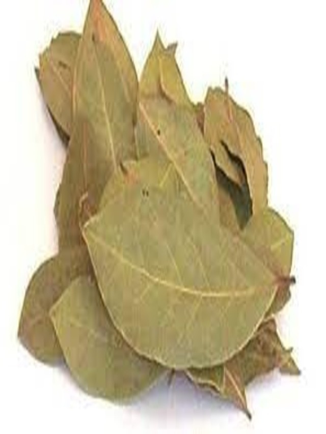 Tej Patta Ke Fayde Drinking bay leaf tea will cure cold and cough know ...