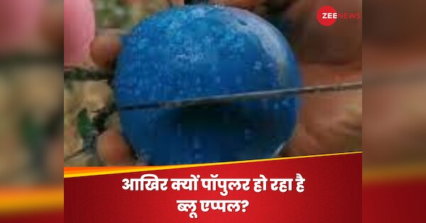 Have you ever seen blue apples photo viral on internet | क्या आपने कभी ...
