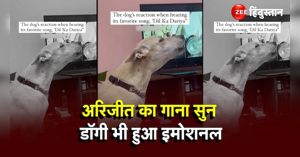 dog gets emotional after listening arijit singh song dil ka dariya ...