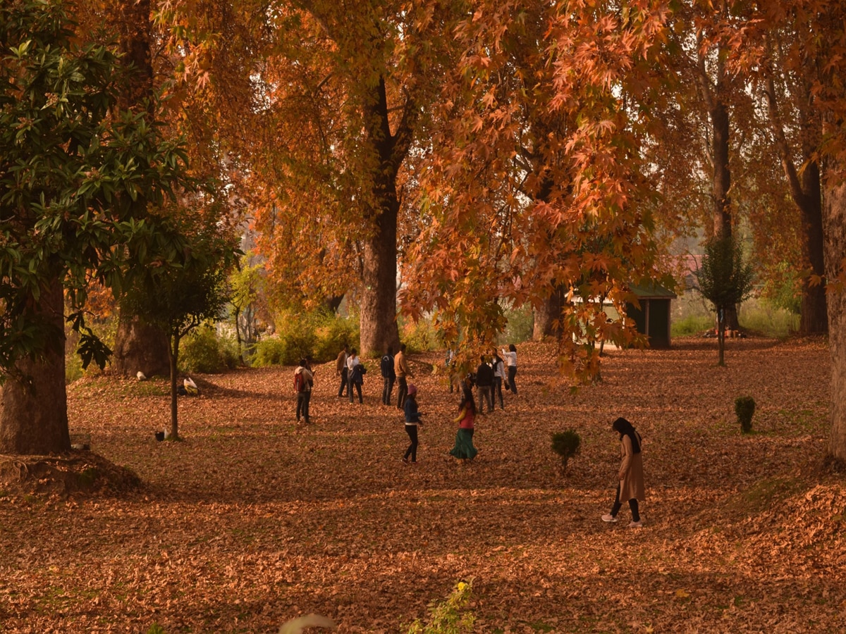 Kashmir Valley turn red Thousands of tourists arrive to witness autumn ...
