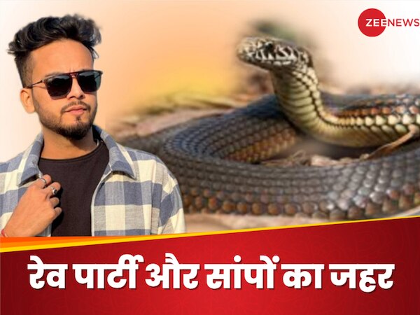 Elvish Yadav rave party snake poison case Two cobra snakes recovered on ...