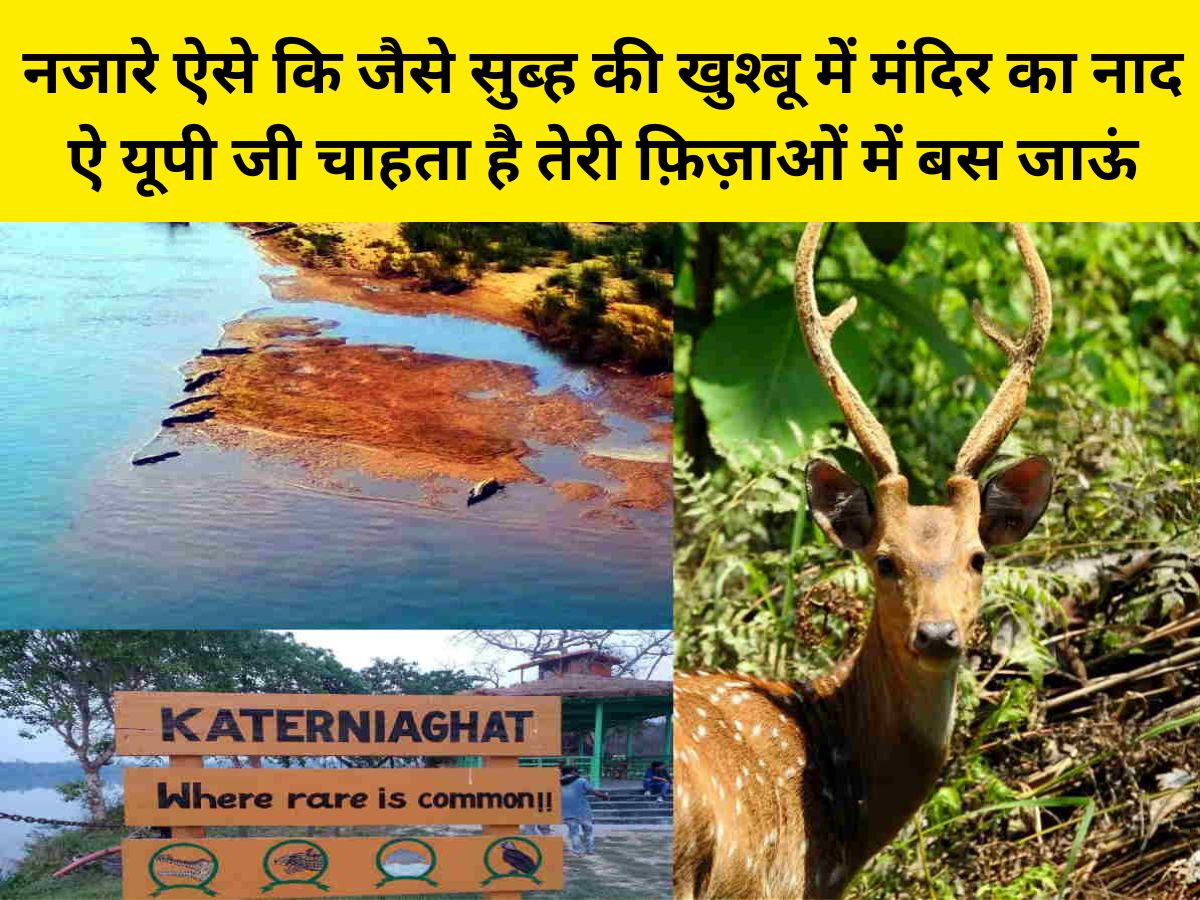 Top 10 best places in uttar pradesh to visit every tourist must visit ...